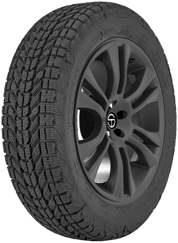 Dayton Winterforce Winter Passenger Tires Online | SimpleTire